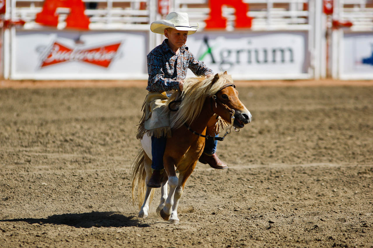 Calgary Stampede Rodeo